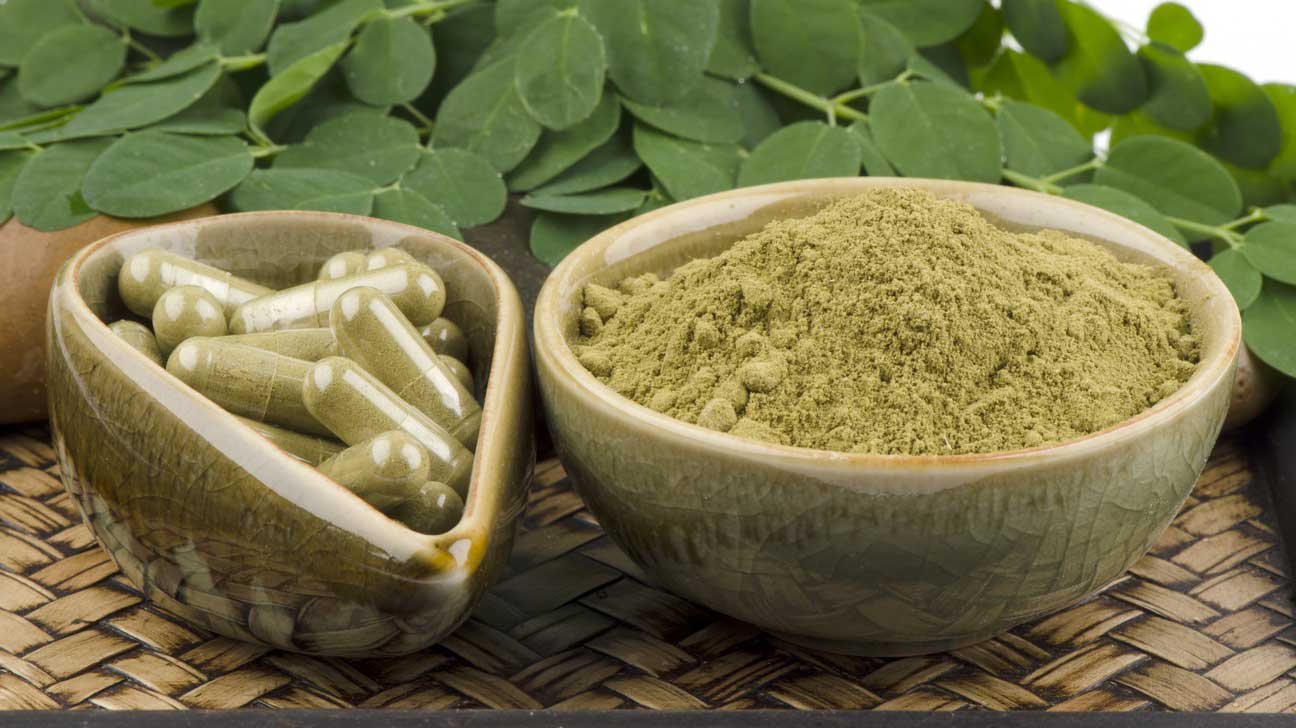 6 Bienfaits du Moringa par la science | Le Temps du Thé